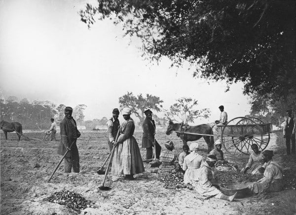La historia de la trata de personas | Mefics