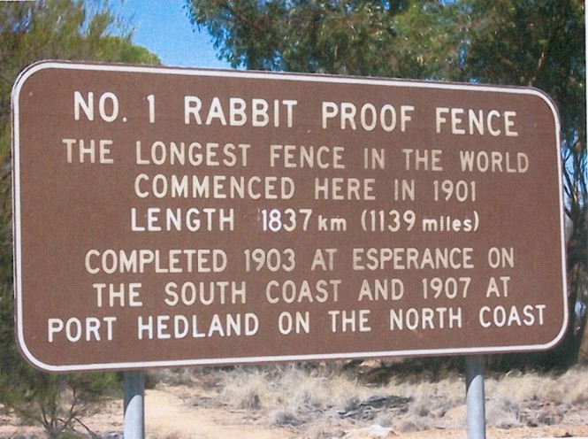 Thomas Austin and His Rascally Rabbits | Hankering for History