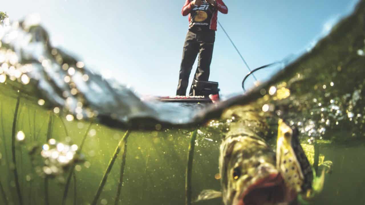 Hankering for History | Hanker: To have a strong, often restless desire ...